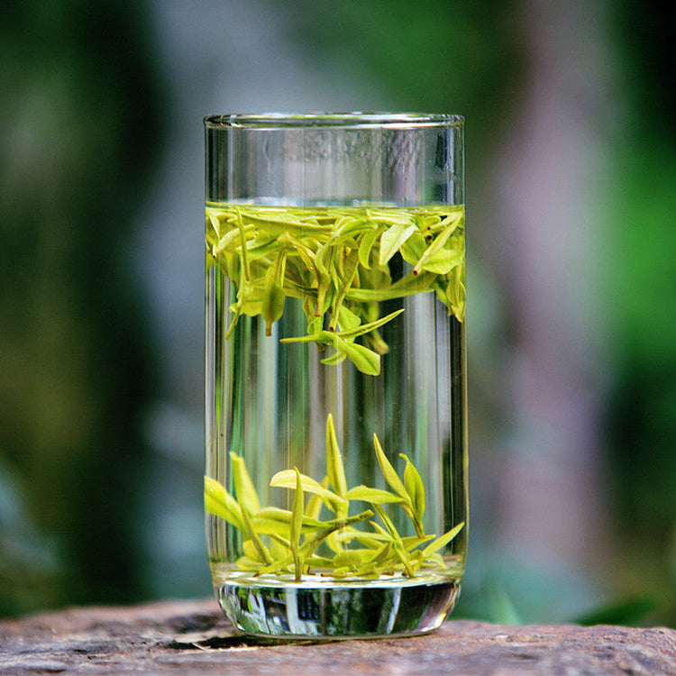 White Tea Health Benefits – Tea Life